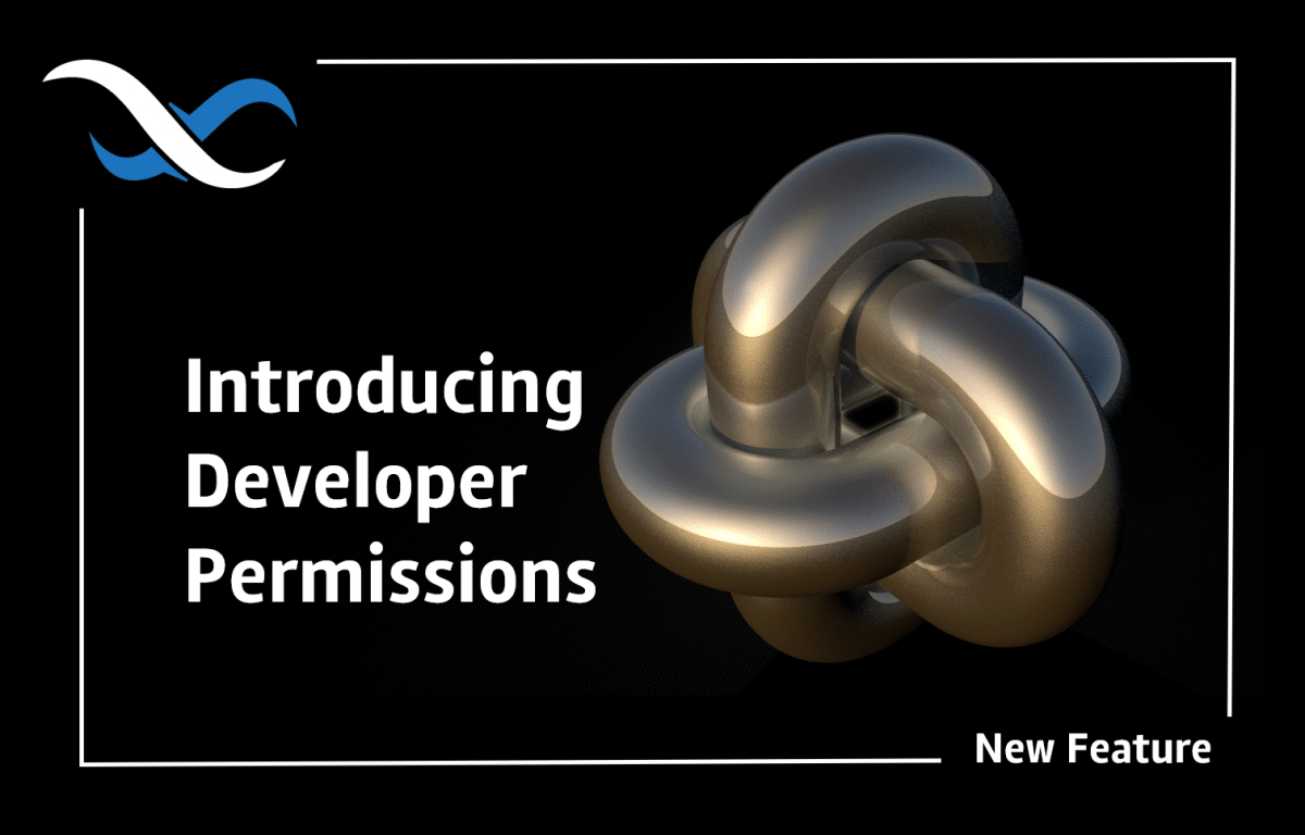 Introducing Developer Permissions for Team Based Development | Backendless